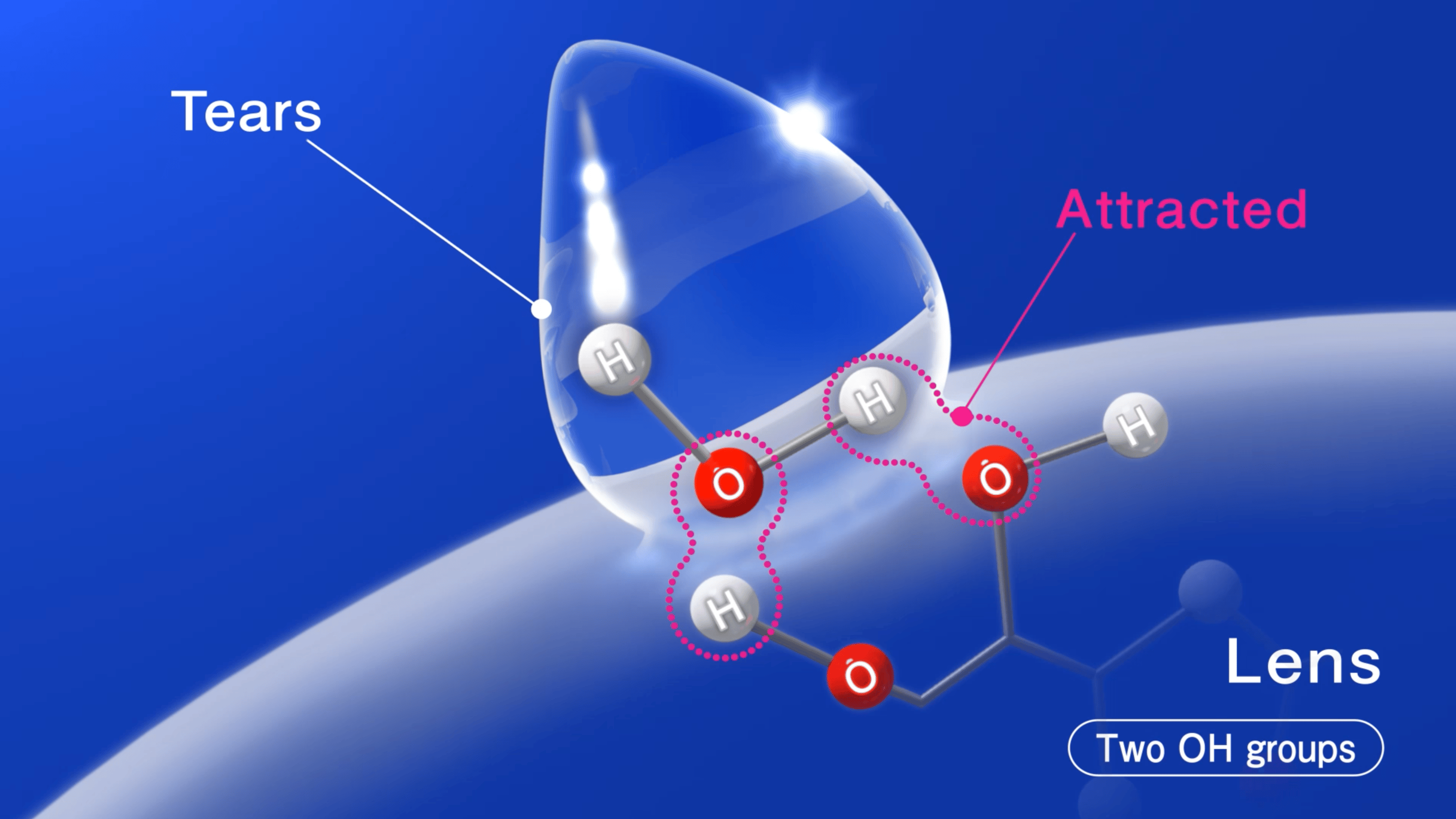 Miru 1day Flat Pack | Products | Professional | Menicon America